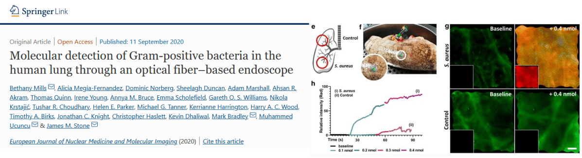 Molecular detection of Gram-positive bacteria in the human lung through an optical fiber–based ...