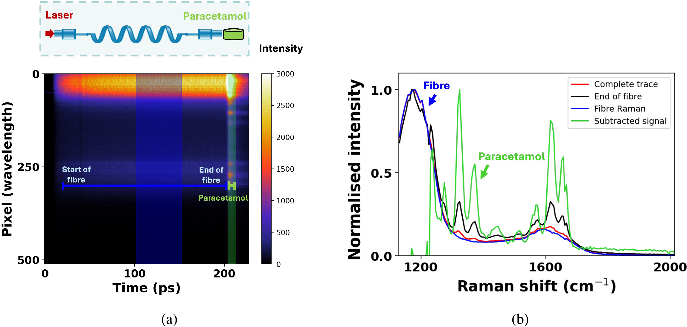 Raman spectroscopy through a single tiny fibre…. – Tanner Lab